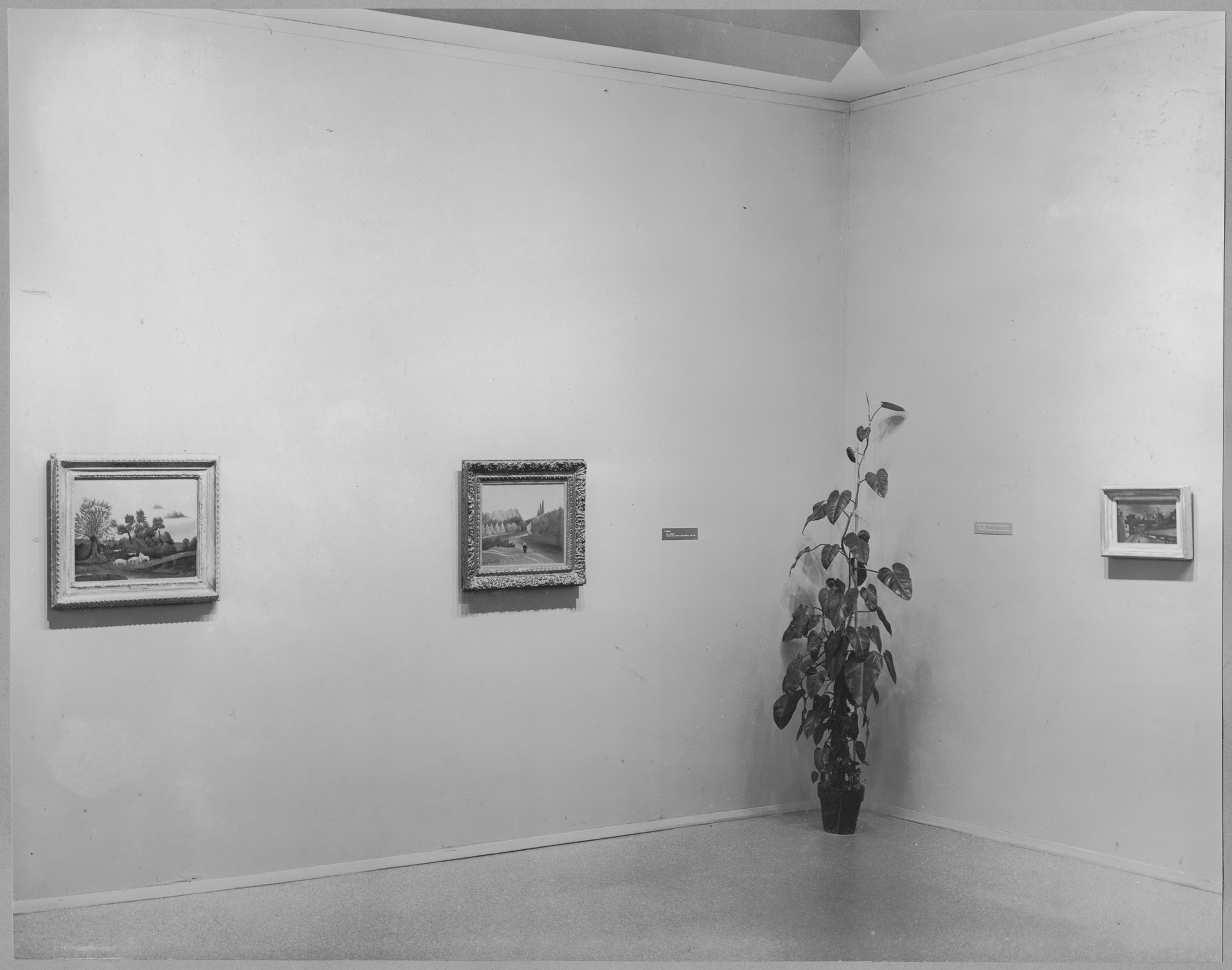 Henri Rousseau on MOMA Exhibition Spelunker