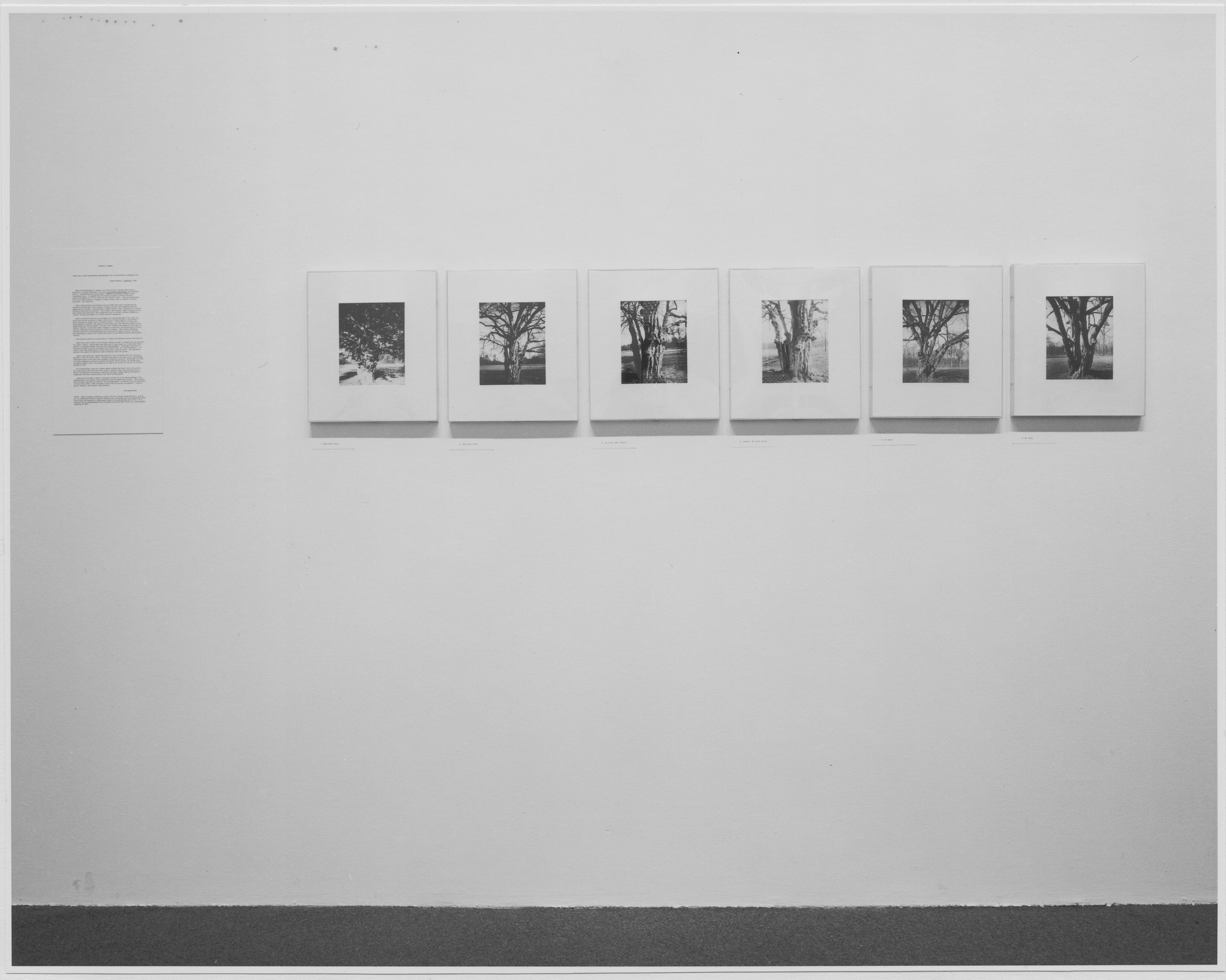 Atget's Trees on MOMA Exhibition Spelunker