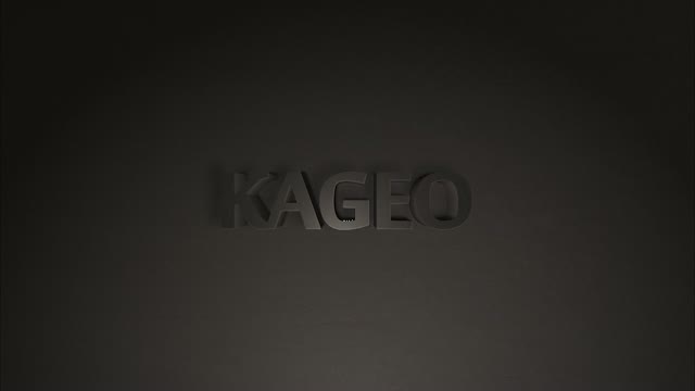 MoMA | Talk to Me | Kageo