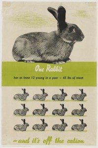 MoMA | Rabbit, Rabbit