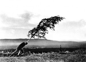 MoMA | Ingmar Bergman’s The Virgin Spring